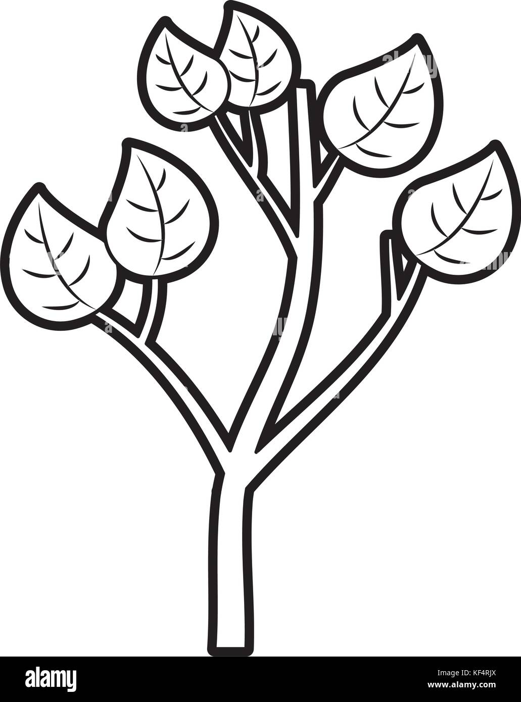 cartoon tree berries on branch natural Stock Vector Image & Art - Alamy