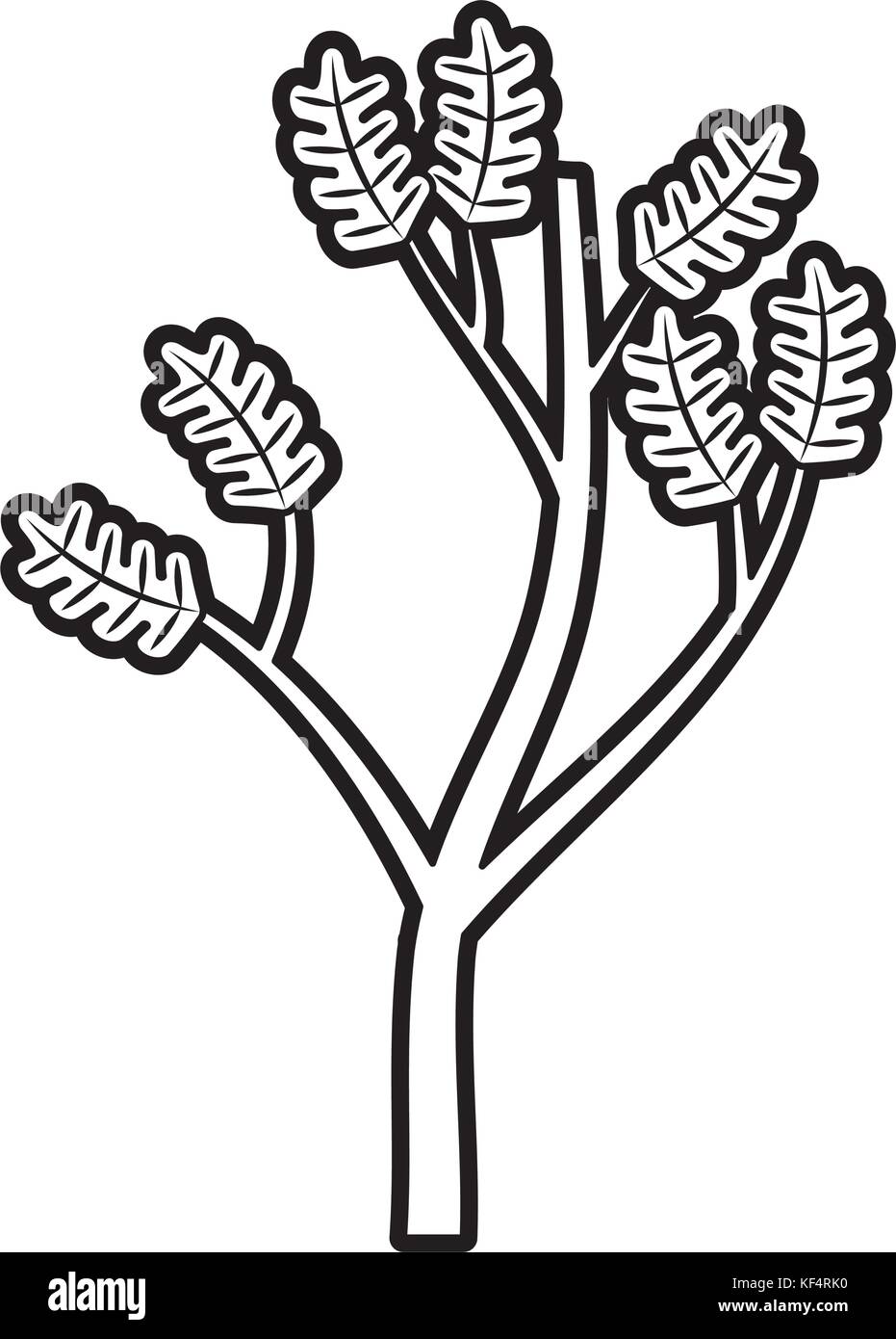 cartoon tree berries on branch natural Stock Vector Image & Art - Alamy