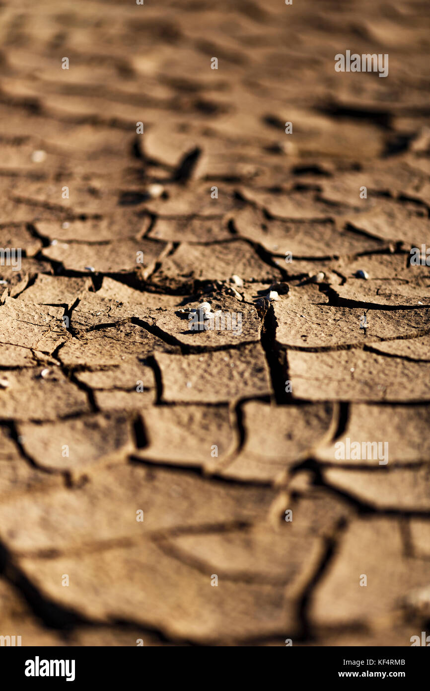 Cracks in drought affected earth Stock Photo - Alamy