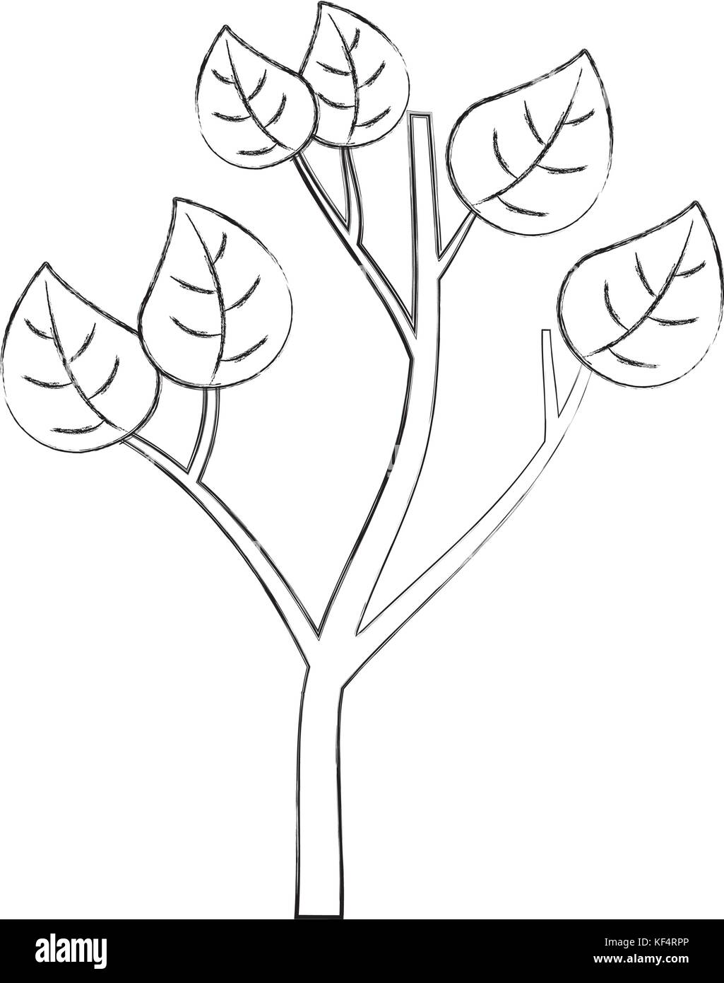 autumn branch of tree and leaves seasonal Stock Vector Image & Art - Alamy