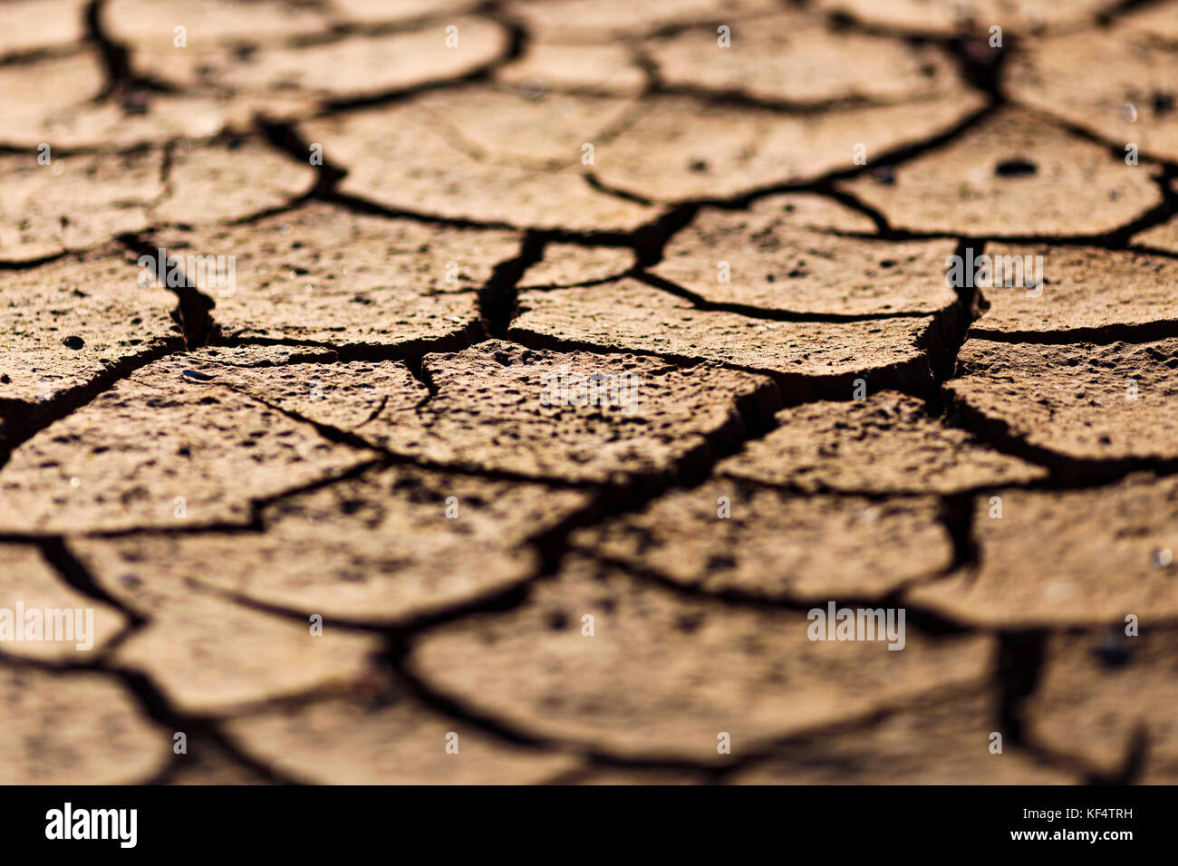 Cracks in drought affected earth Stock Photo - Alamy