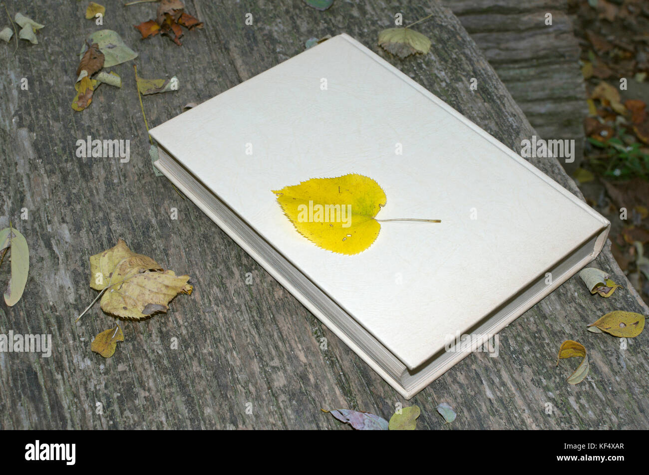 book on bench with leaf Stock Photo - Alamy