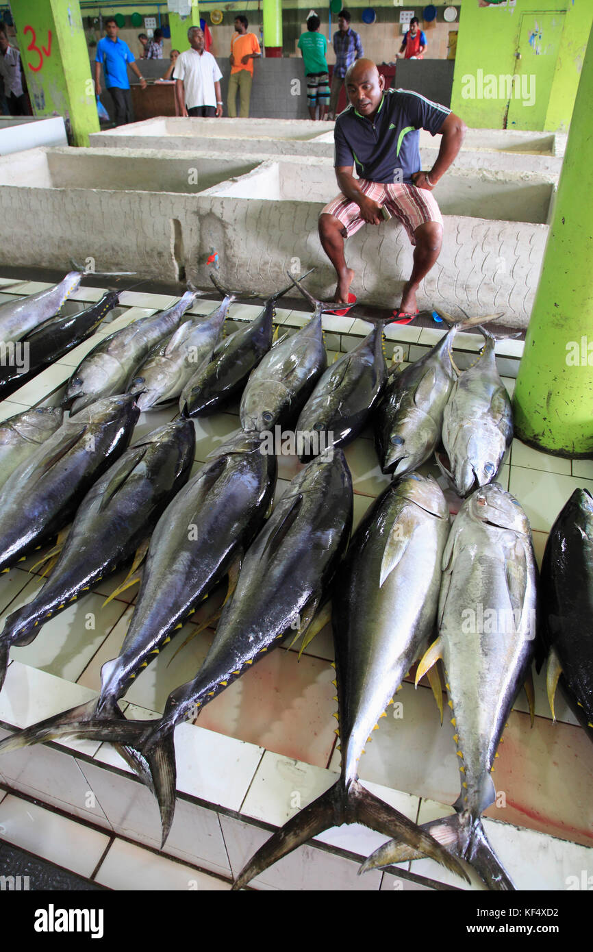 Maldives, Male, fish market, tuna Stock Photo - Alamy