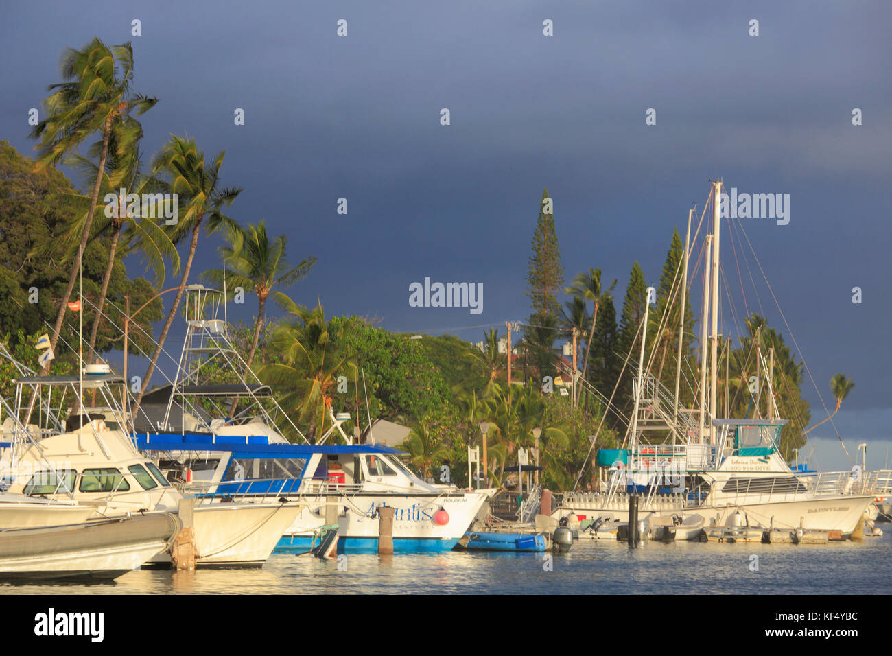 Lahaina harbour hawaii hi-res stock photography and images - Alamy