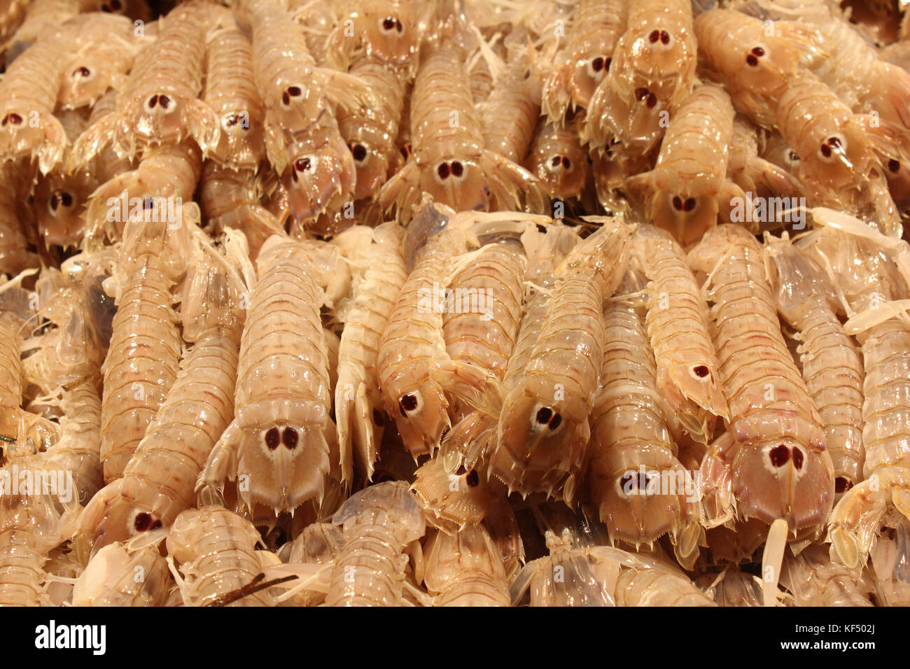 Prawns for sale in Rialto fish market, Venice, Italy Stock Photo - Alamy