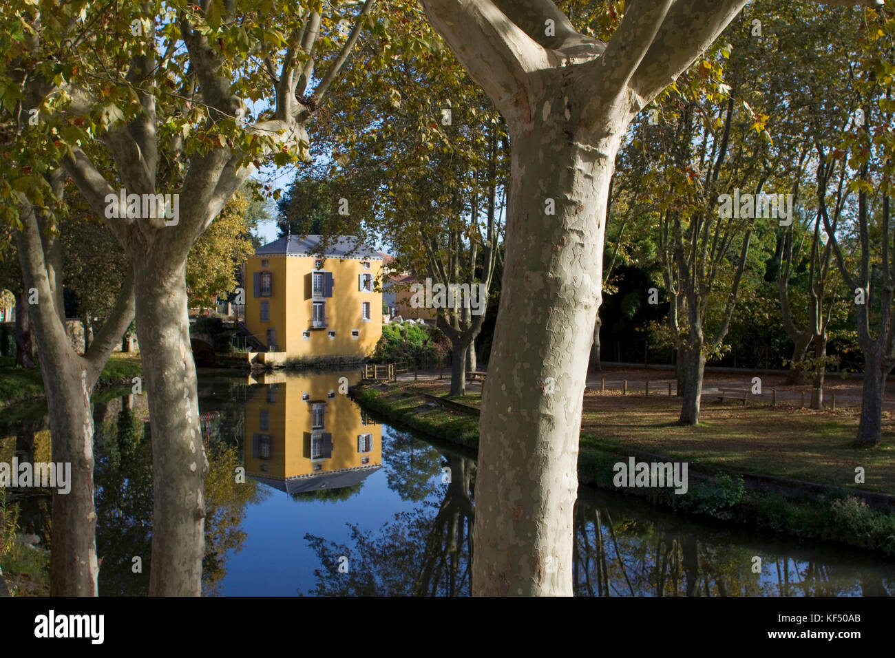 France, South-Western France, Soual, the Sor river bordered by plane ...