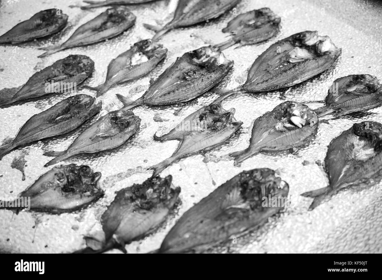 Dried Fish, San Fernando La Union, Luzon, Philippines Stock Photo - Alamy