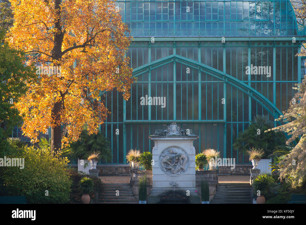 The Greenhouses Of The City Of Paris Stock Photos & The Greenhouses Of ...