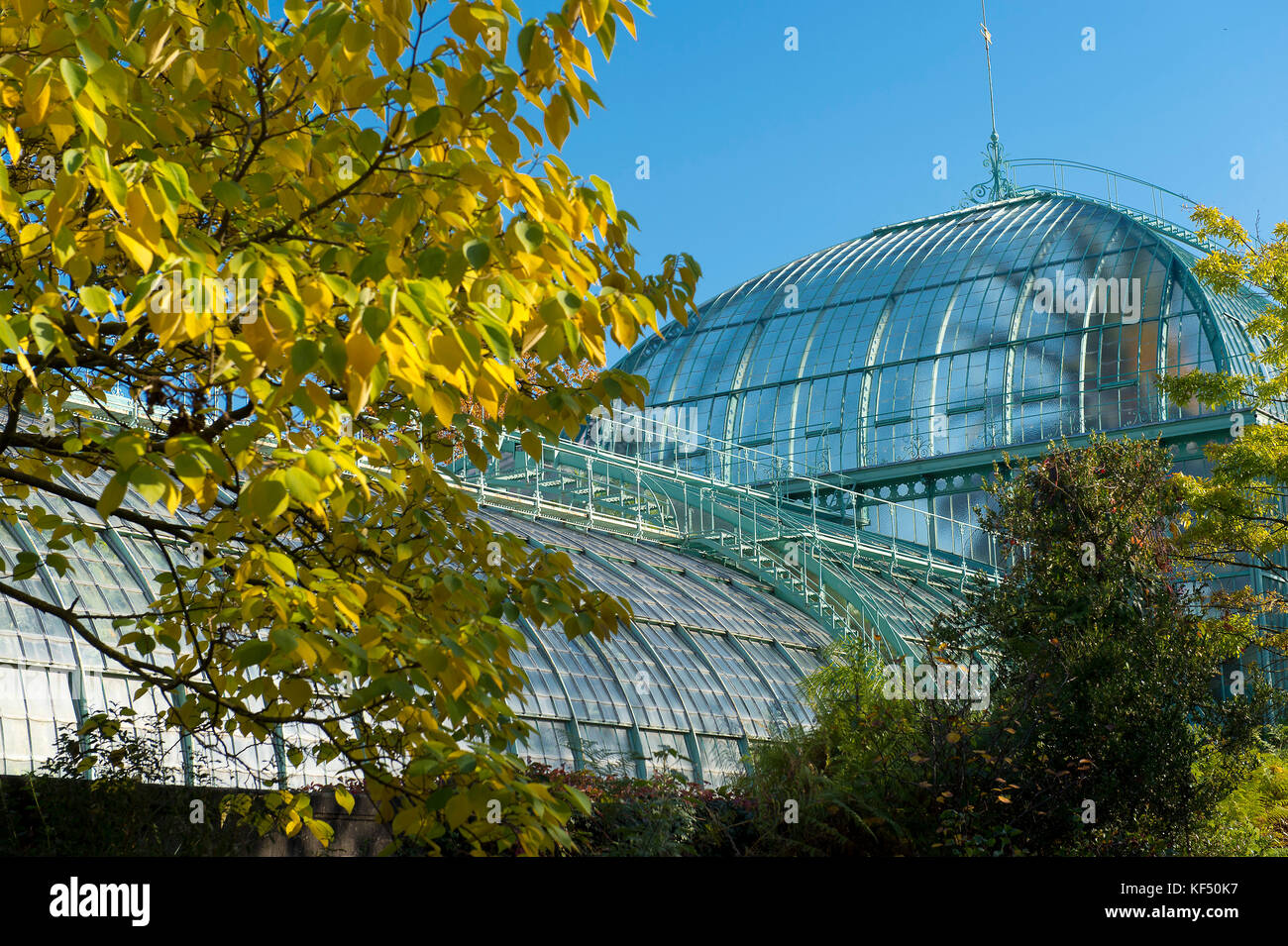 The Greenhouses Of The City Of Paris Stock Photos & The Greenhouses Of ...