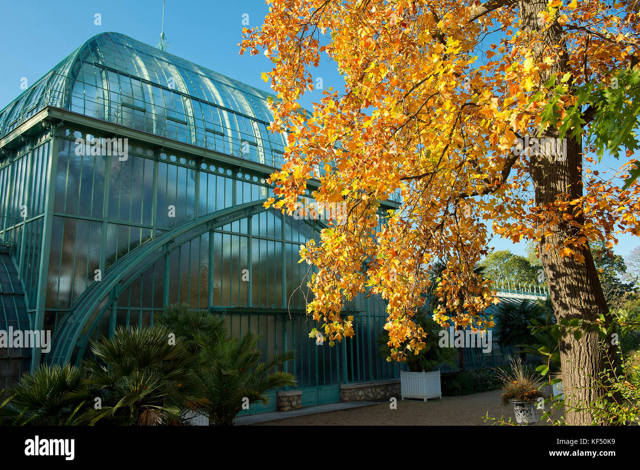 The Greenhouses Of The City Of Paris Stock Photos & The Greenhouses Of ...