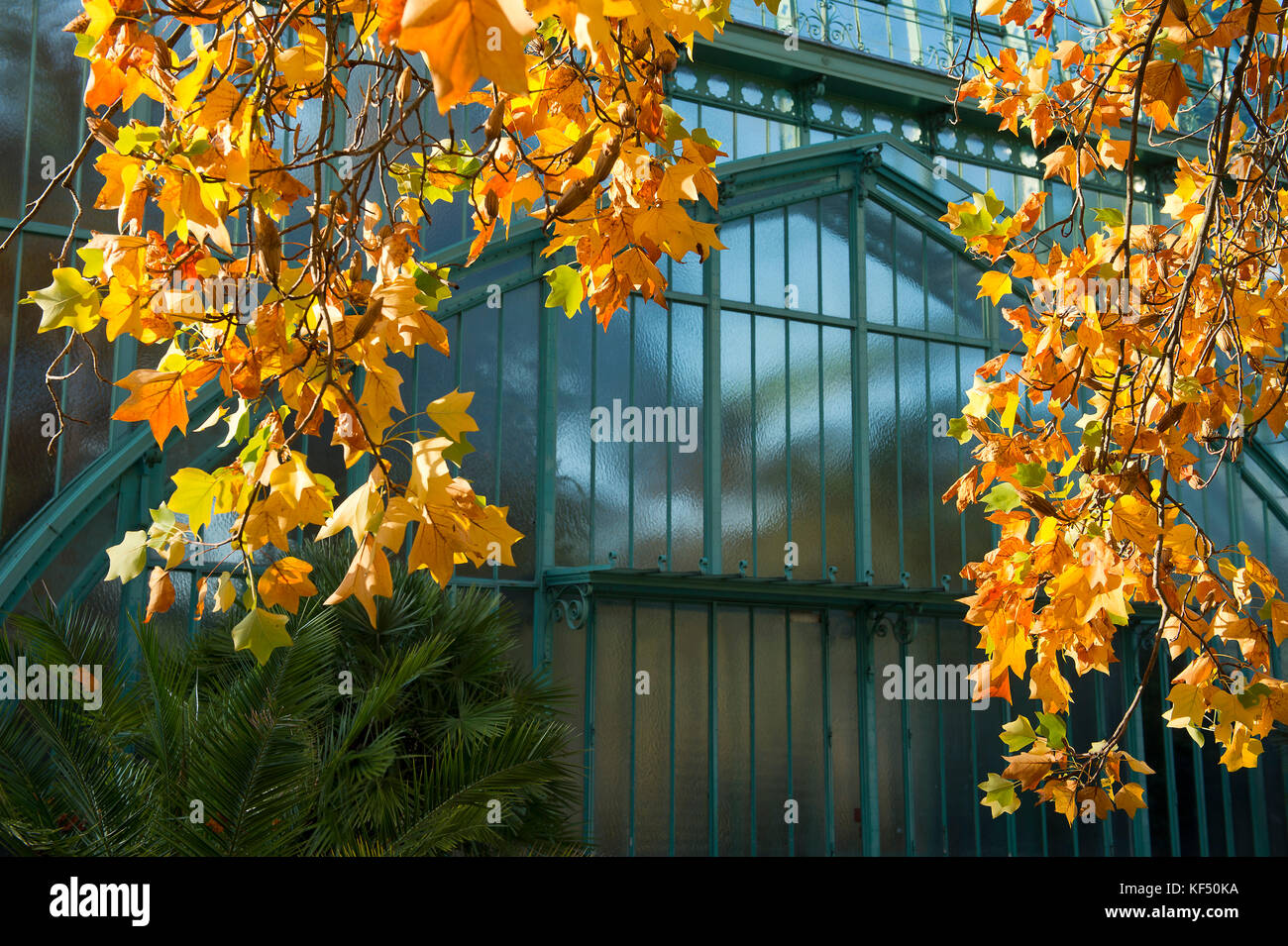 The Greenhouses Of The City Of Paris Stock Photos & The Greenhouses Of ...