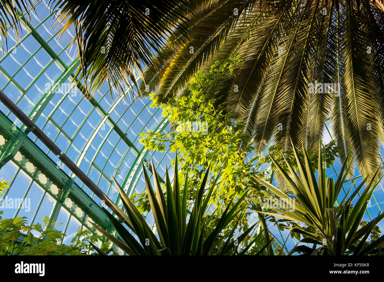 Greenhouses city paris view hi-res stock photography and images - Alamy