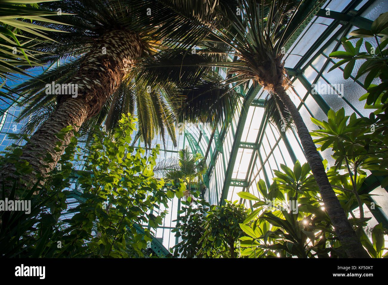 Greenhouses city paris view hi-res stock photography and images - Alamy