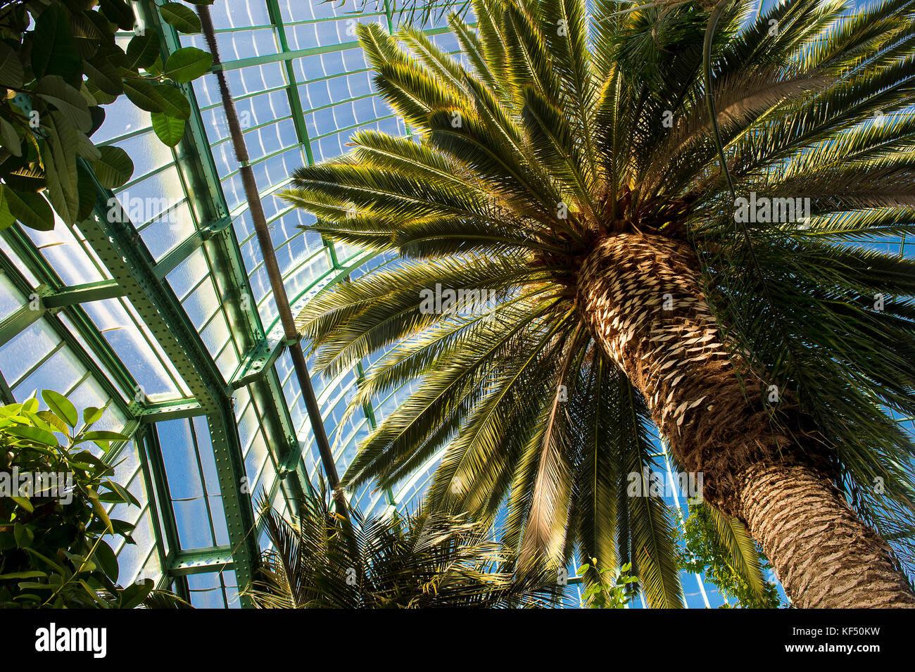 Greenhouses city paris view hi-res stock photography and images - Alamy