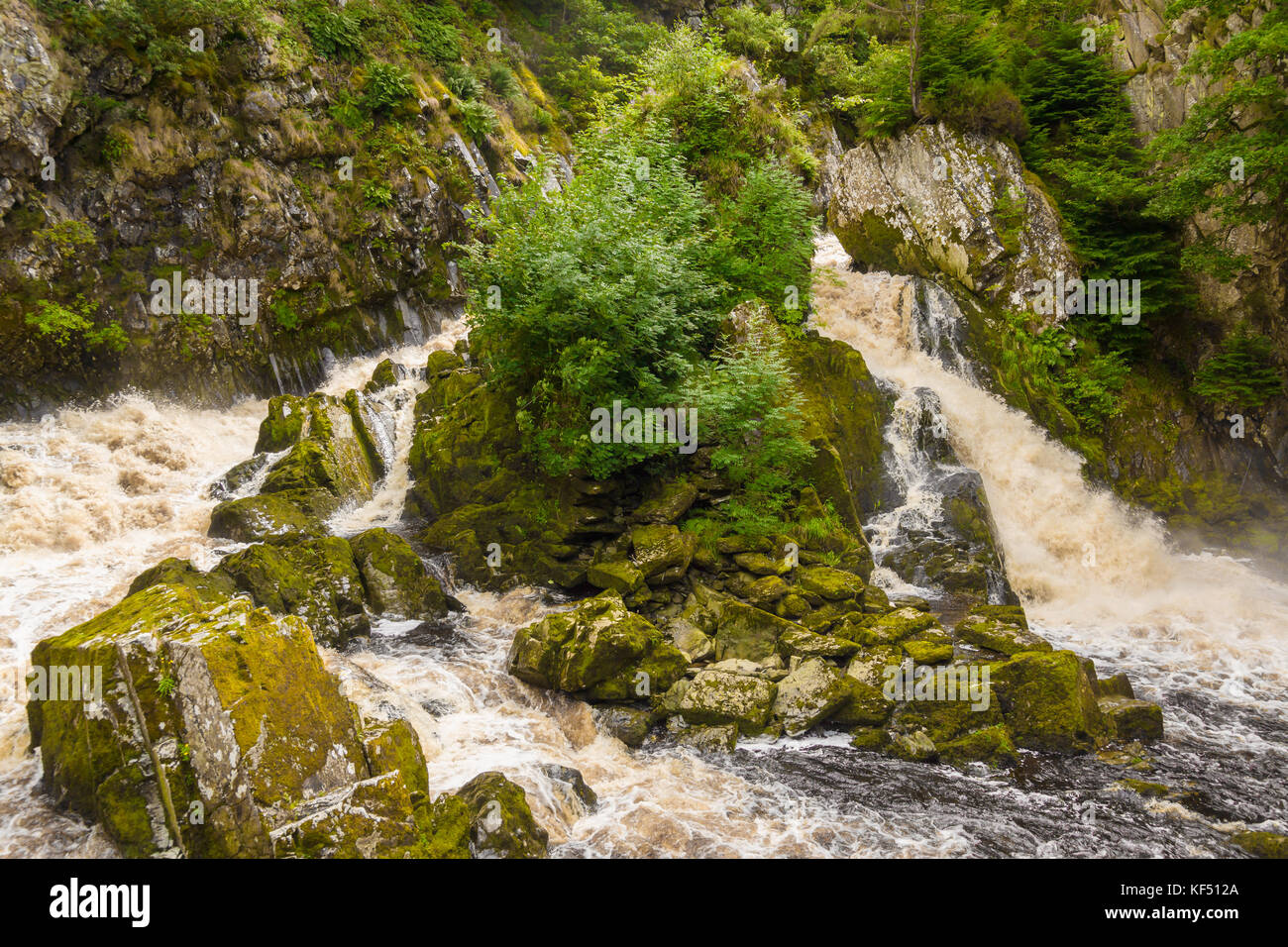 Conwy Falls or in Welsh Rhaeadr y Graig Lwyd on the River Conwy at Bro ...