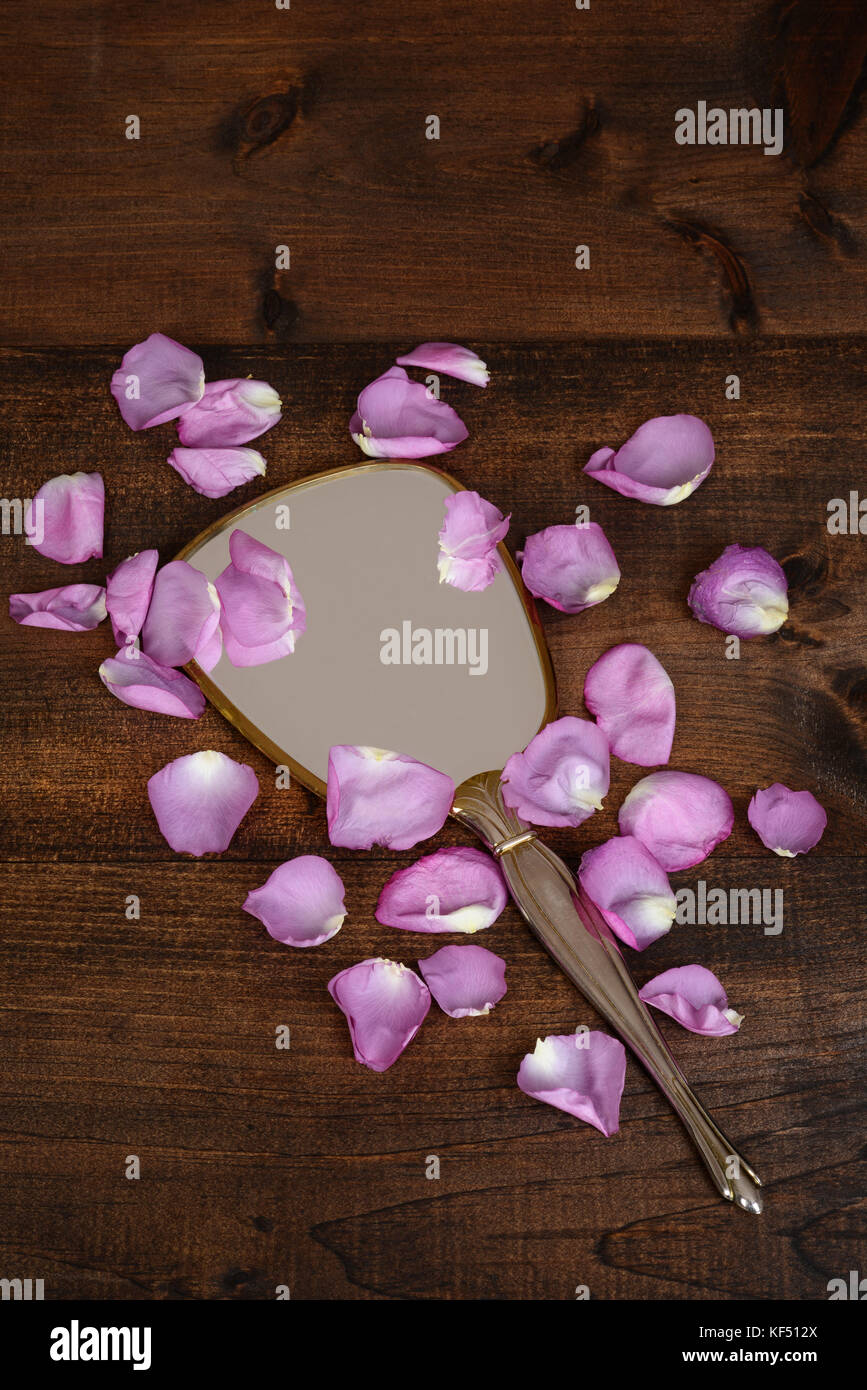 mirror with pink rose petals Stock Photo - Alamy