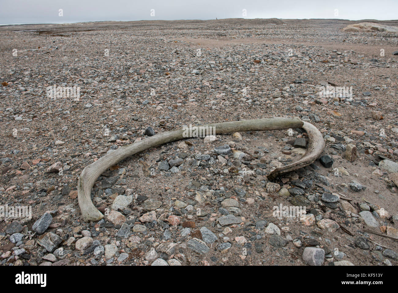 Norway, Svalbard, Nordaustlandet, desolate island of Kvitoya. Island ...