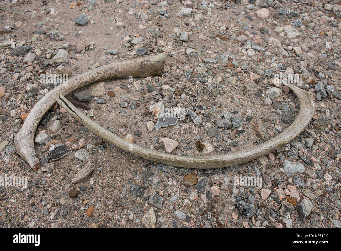 Norway, Svalbard, Nordaustlandet, desolate island of Kvitoya. Island ...