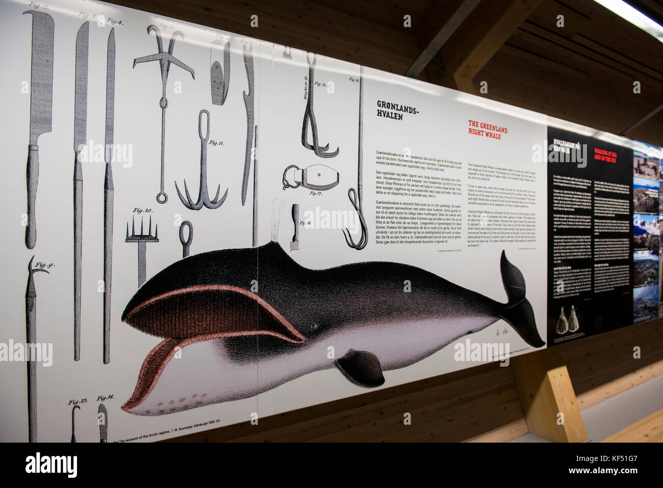 Norway, Spitsbergen, capital city of Longyearbyen. Svalbard Museum ...