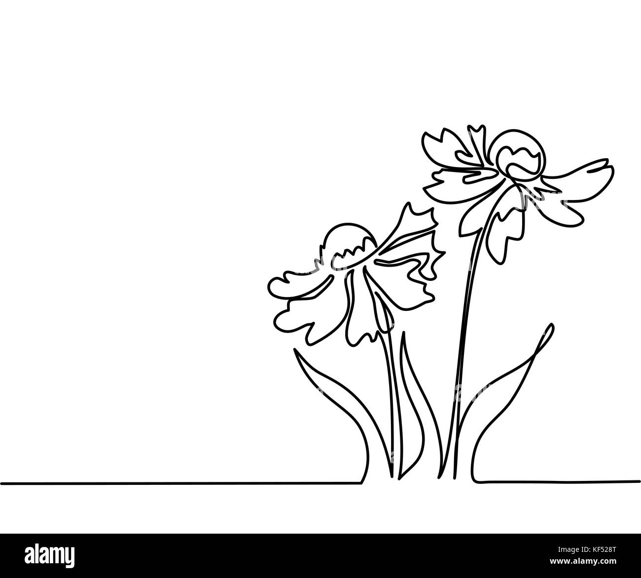 Beautiful flowers Echinacea. Continuous line drawing. Vector ...