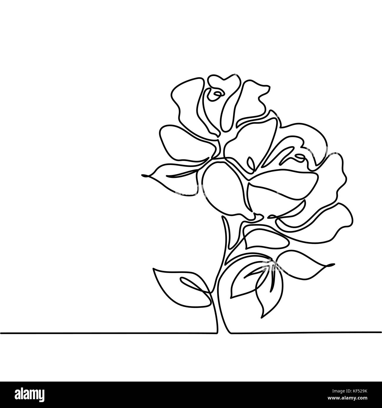 Beautiful flowers roses. Continuous line drawing. Vector illustration ...