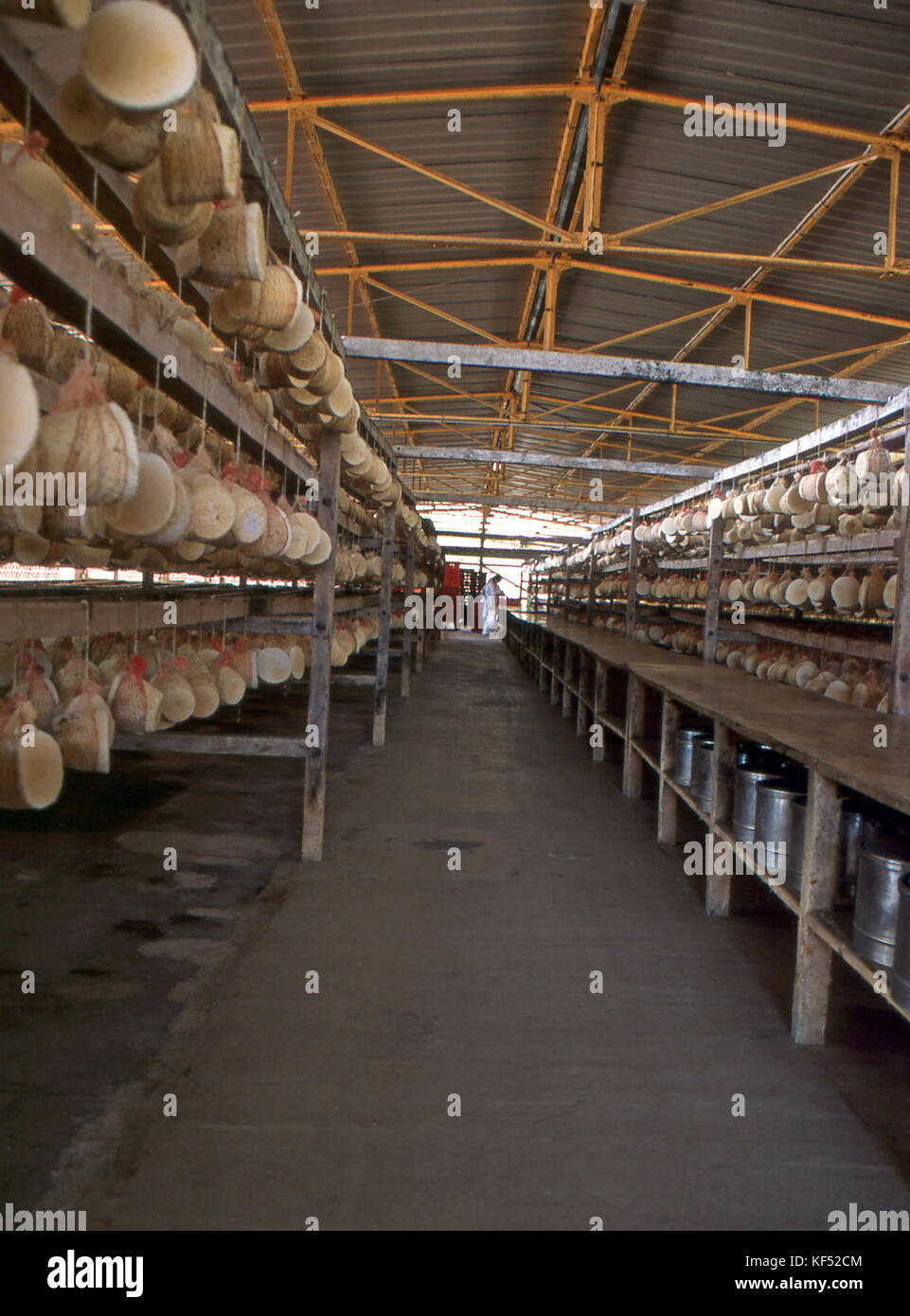 Chiaramonti, Sardinia. Cheese seasoning Stock Photo - Alamy