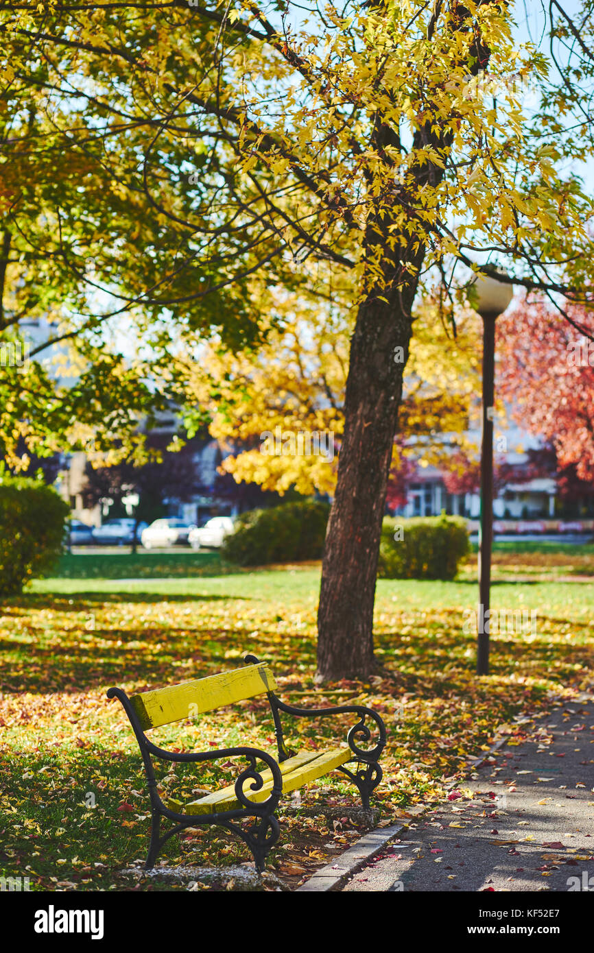 Autumn motives Bench, Street Lamp and Tree in frame Stock Photo - Alamy