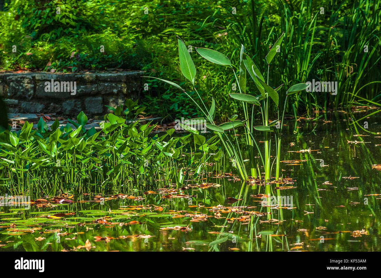 Thermal watercourse hi-res stock photography and images - Alamy