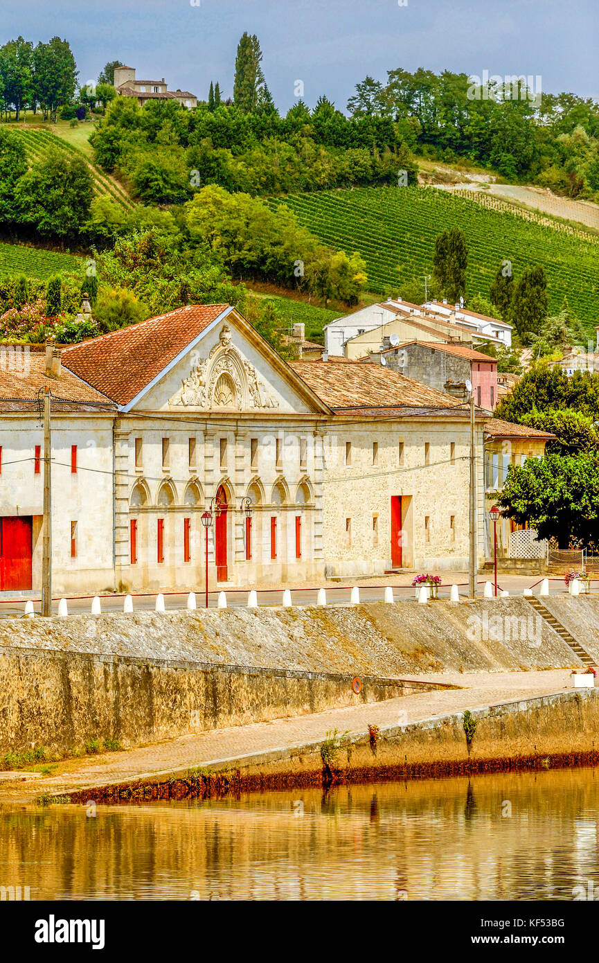 France, Gironde, Castillon-la-Bataille, AOC Castillon Cotes de Bordeaux ...