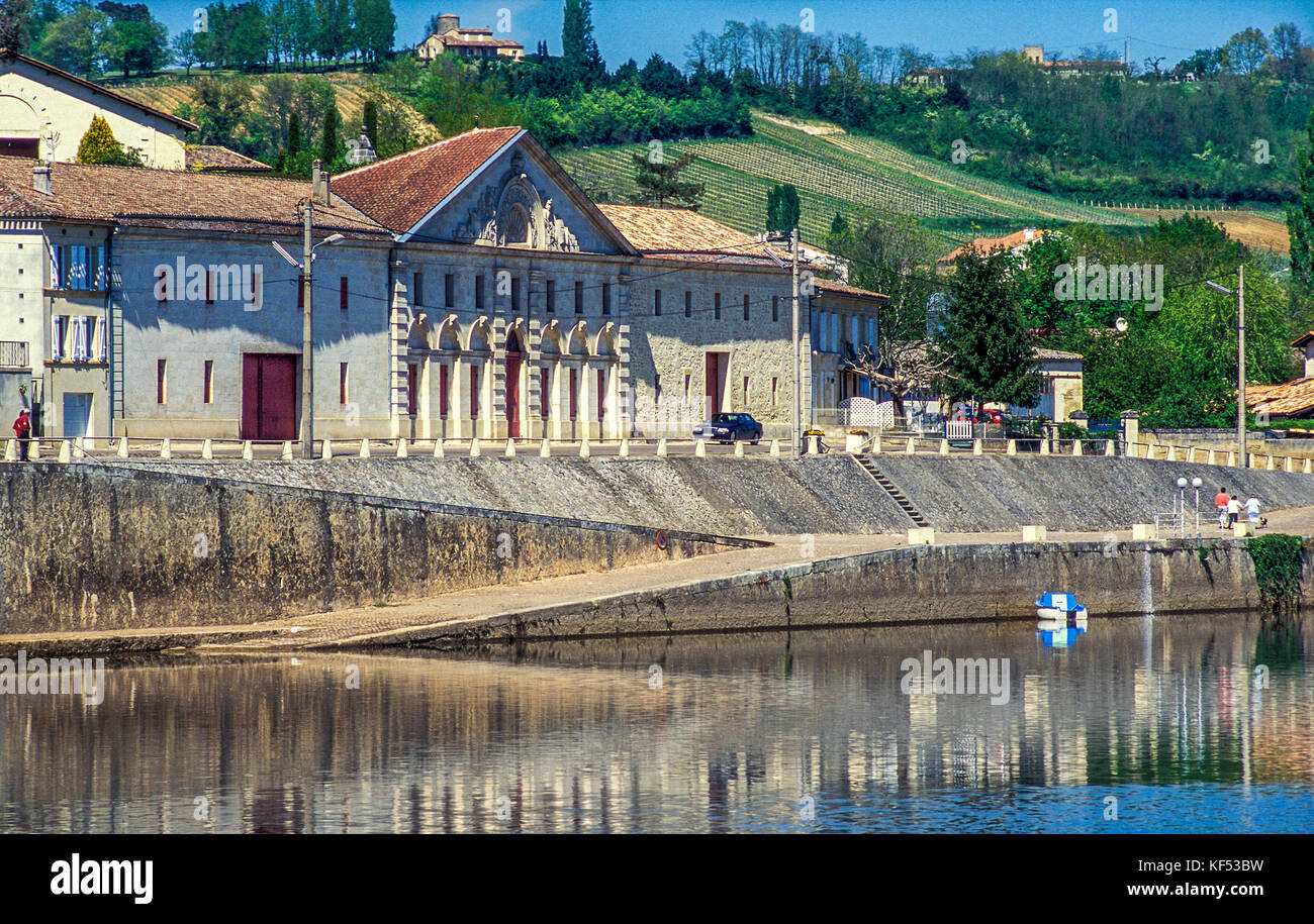 France, Gironde, Castillon-la-Bataille, AOC Castillon Cotes de Bordeaux ...