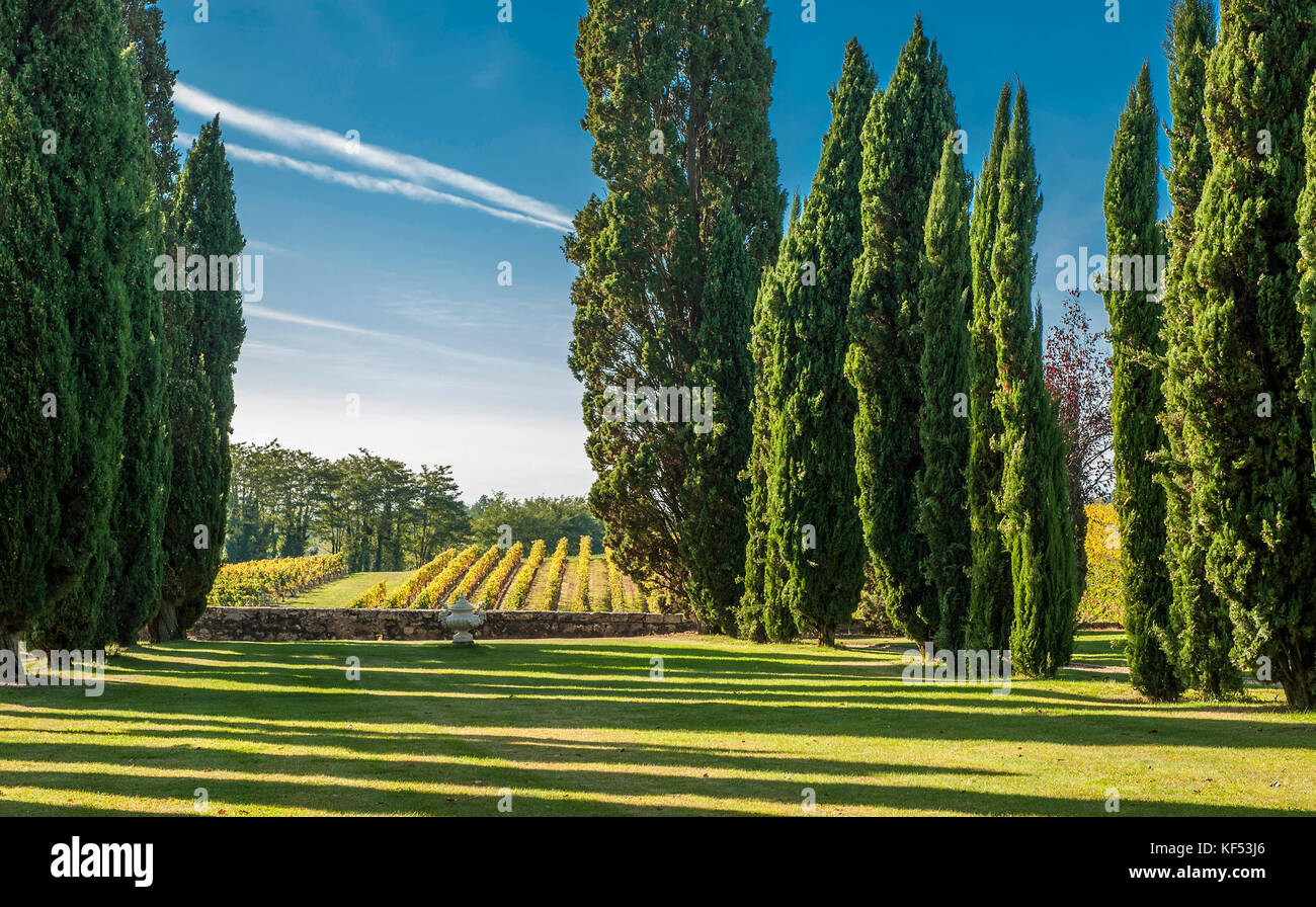 France, Gironde, park of the Chateau de Carles, AOC Fronsac Stock Photo ...