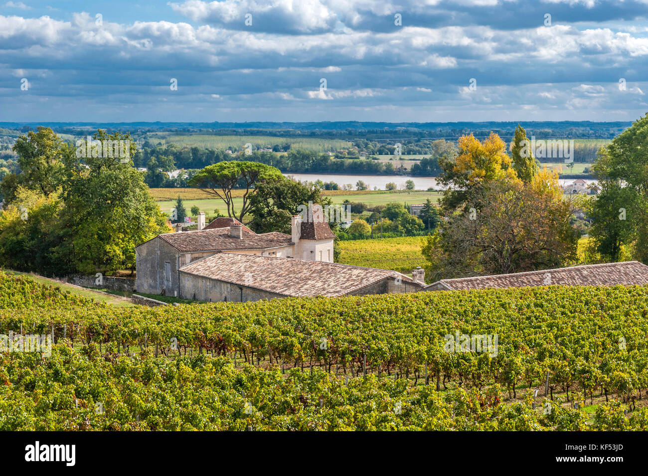 France, Gironde, estate of the AOC Fronsac vineyard and Dordogne river ...