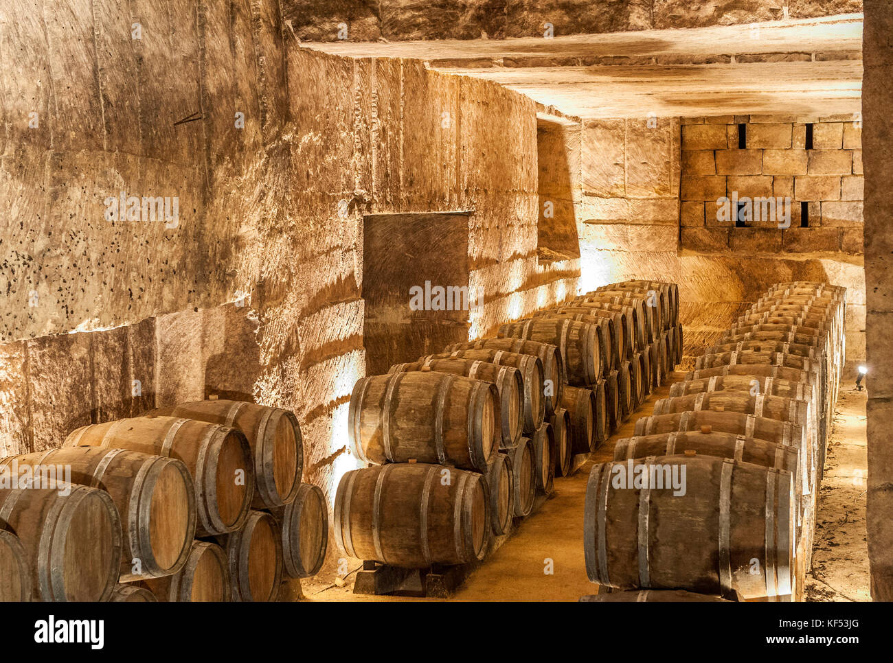 France, Gironde, Chateau de la Riviere in the AOC Fronsac wine-growing ...