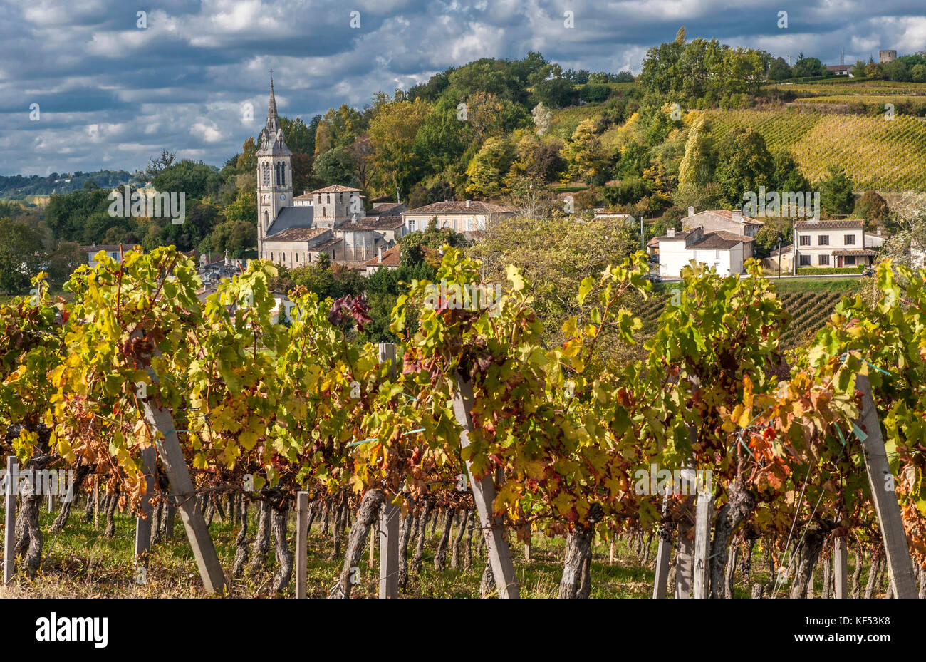 France, Gironde, St Michel-de-Fronsac, village in the middle of AOC ...