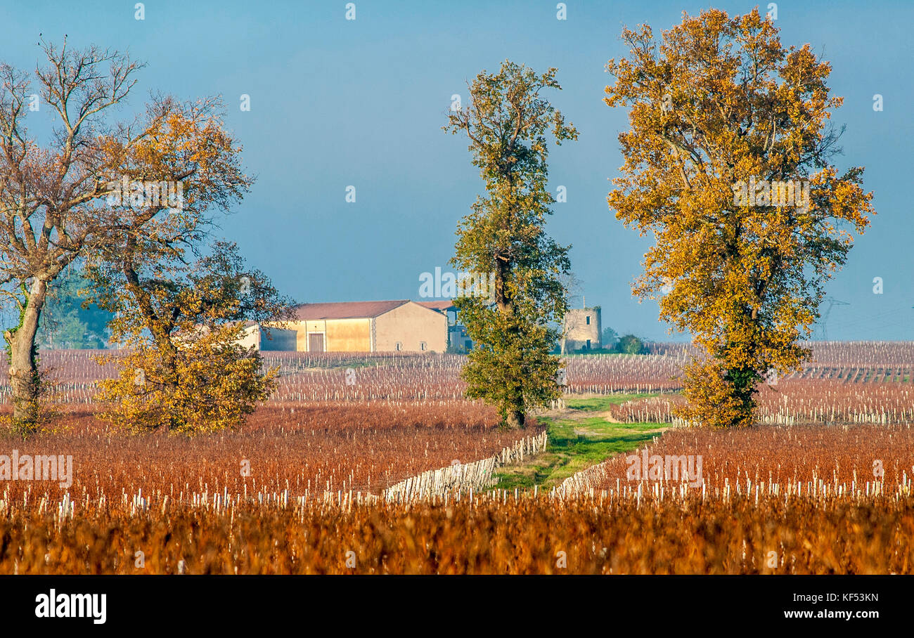 France, Gironde, Medoc, AOC Listrac vineyard Stock Photo - Alamy