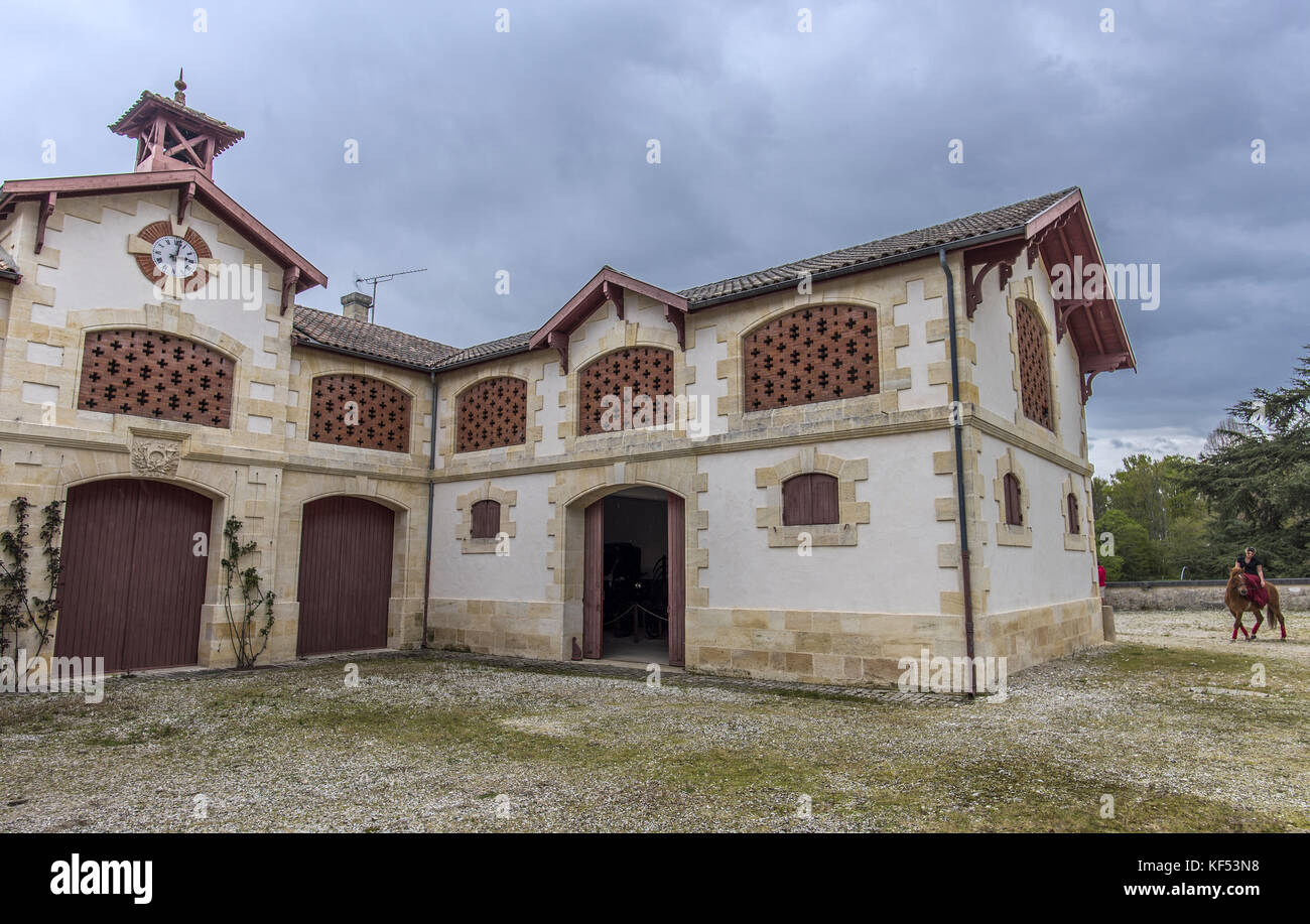 France, Gironde, Medoc, Cussac-Fort-Medoc, stables of Chateau Lanessan ...