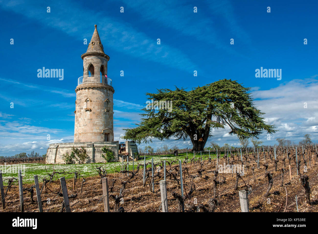 France, Gironde, Medoc, old lighthouse on the Gironde Estuary, AOC ...