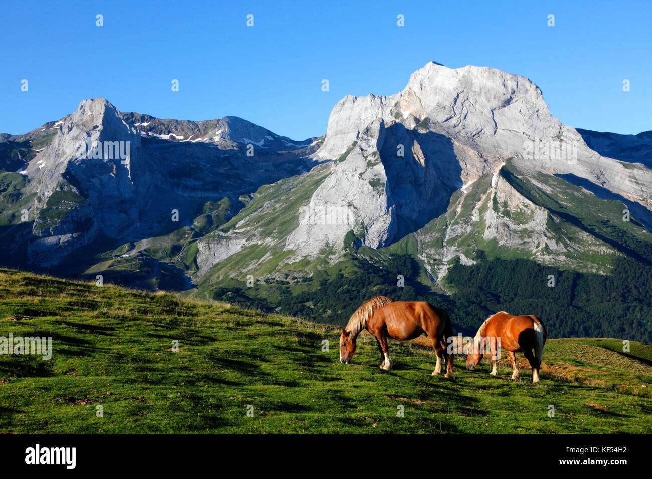 France, Nouvelle Aquitaine, Pyrenees Atlantiques department (64), Bearn ...