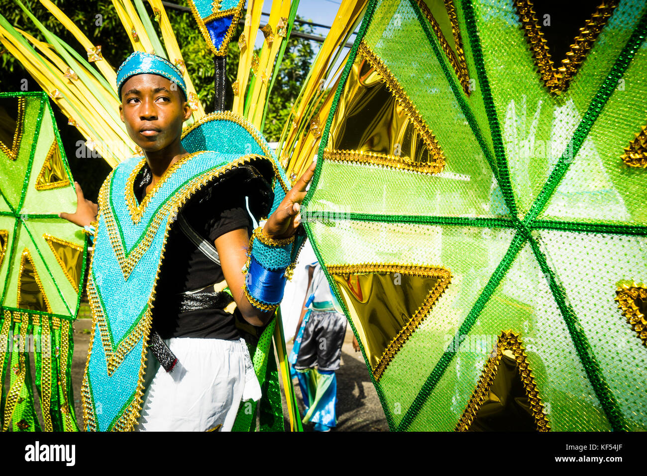 Young man dressed up, Carnaval, Grenada, St Georges, West Indies Stock ...