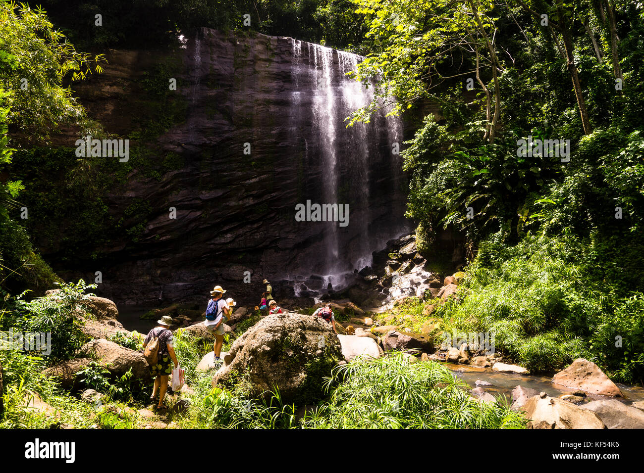 Concord waterfall grenada hi-res stock photography and images - Alamy