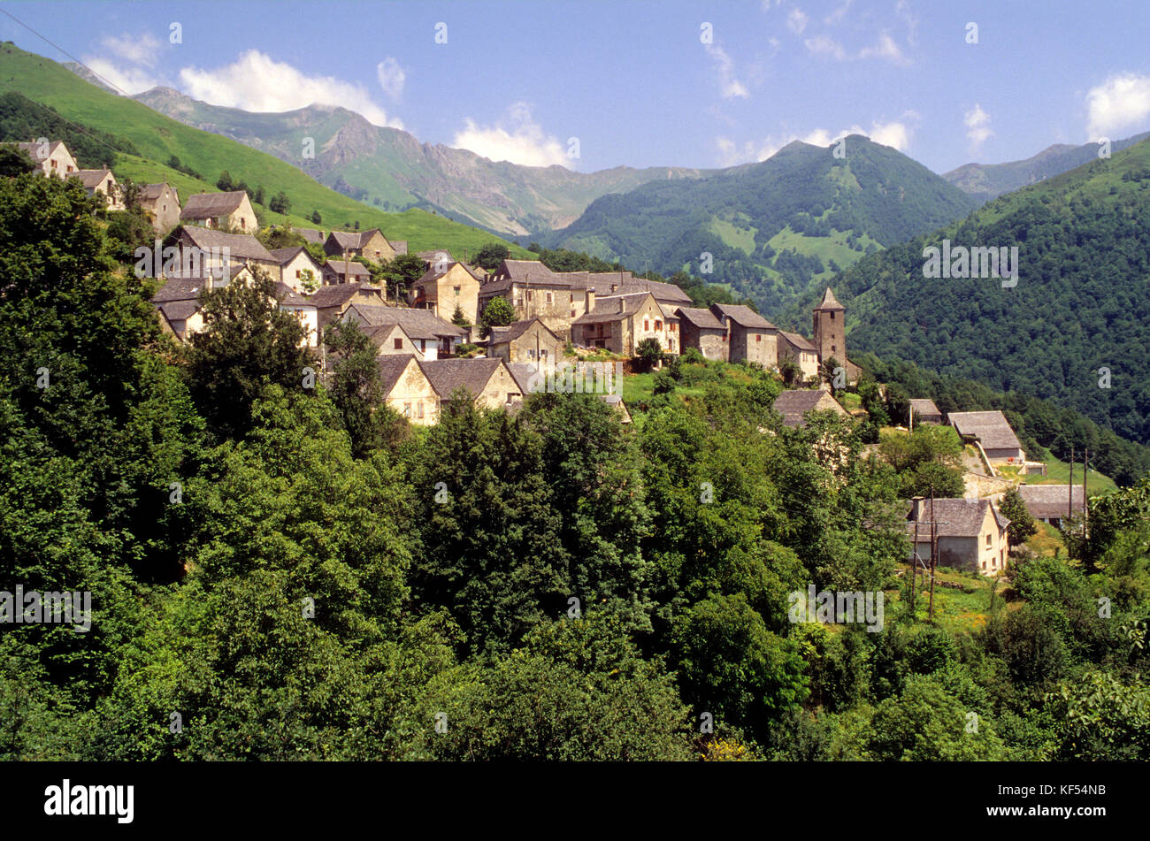 France, Nouvelle Aquitaine, Pyrenees atlantiques department (64), Bearn ...