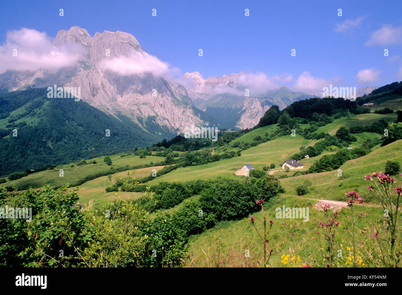 France, Nouvelle Aquitaine, Pyrenees atlantiques department (64), Bearn ...
