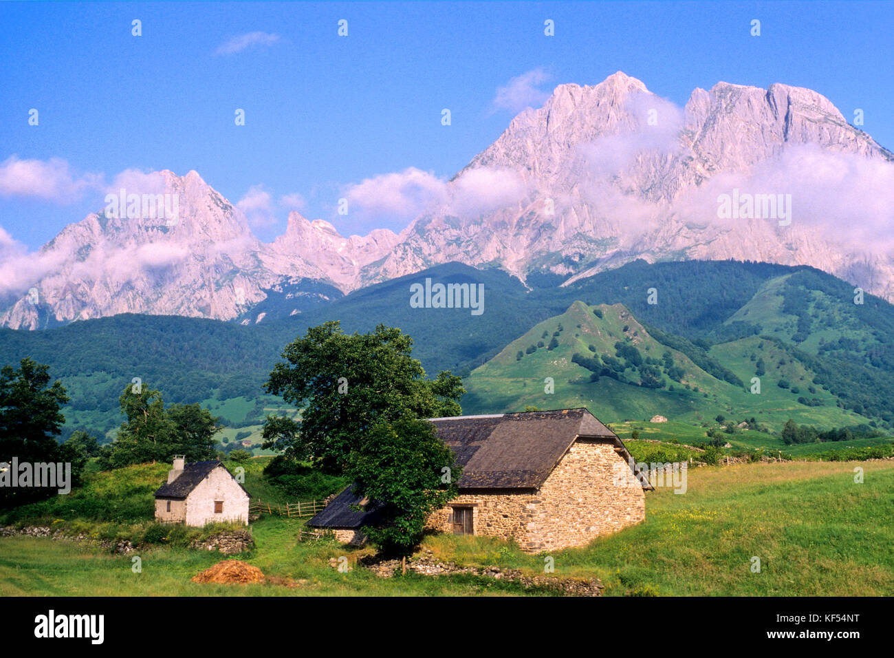 France, Nouvelle Aquitaine, Pyrenees atlantiques department (64), Bearn ...