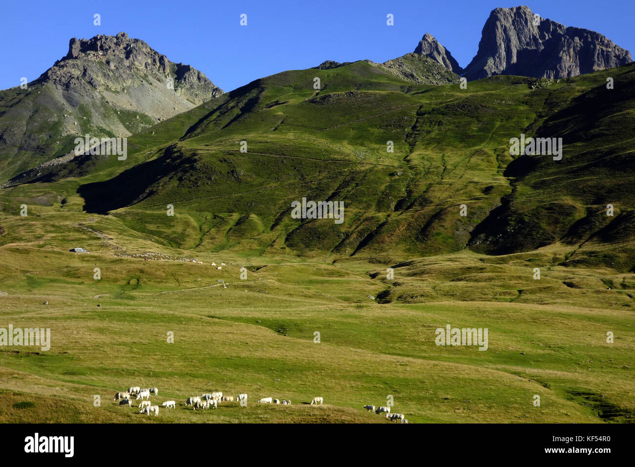 France, Nouvelle Aquitaine, Pyrenees atlantiques department (64), Bearn ...