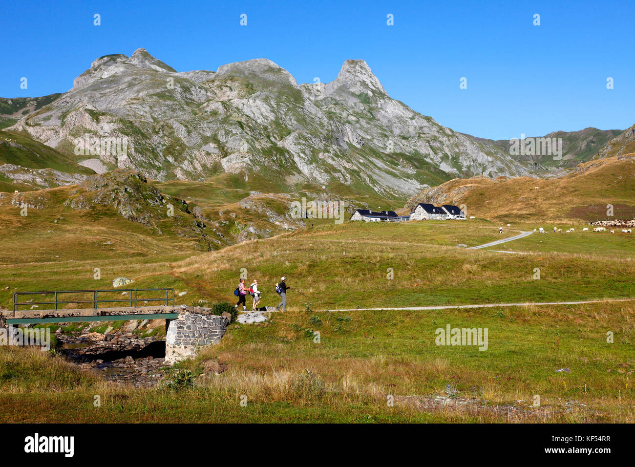 France, Nouvelle Aquitaine, Pyrenees atlantiques department (64), Bearn ...
