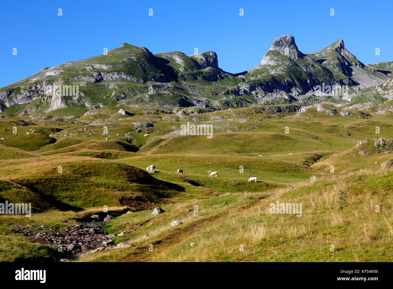 France, Nouvelle Aquitaine, Pyrenees atlantiques department (64), Bearn ...
