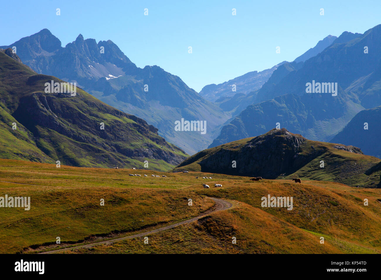 France, Nouvelle Aquitaine, Pyrenees atlantiques department (64), Bearn ...