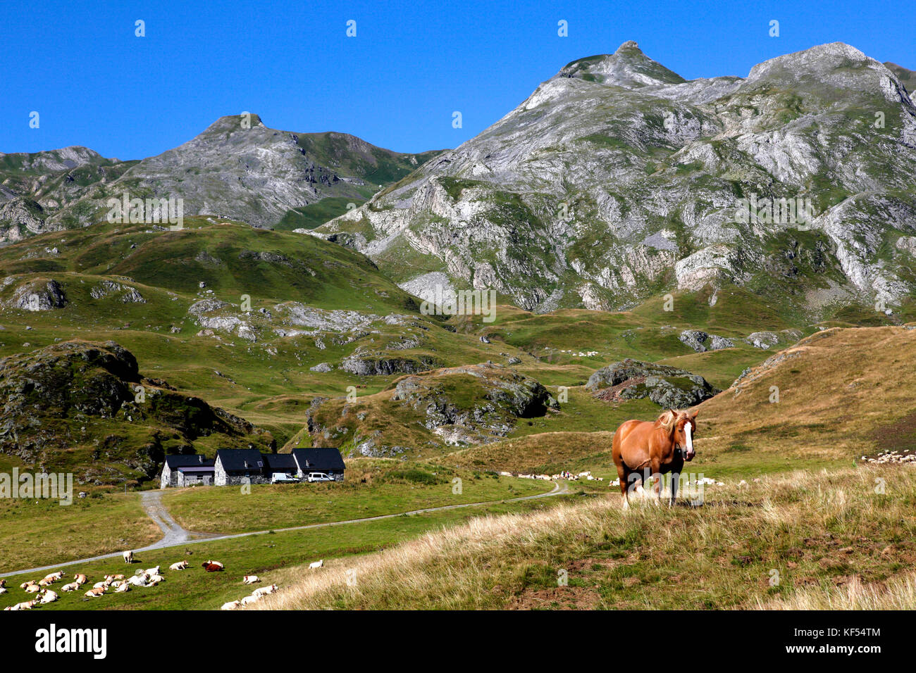 France, Nouvelle Aquitaine, Pyrenees atlantiques department (64), Bearn ...