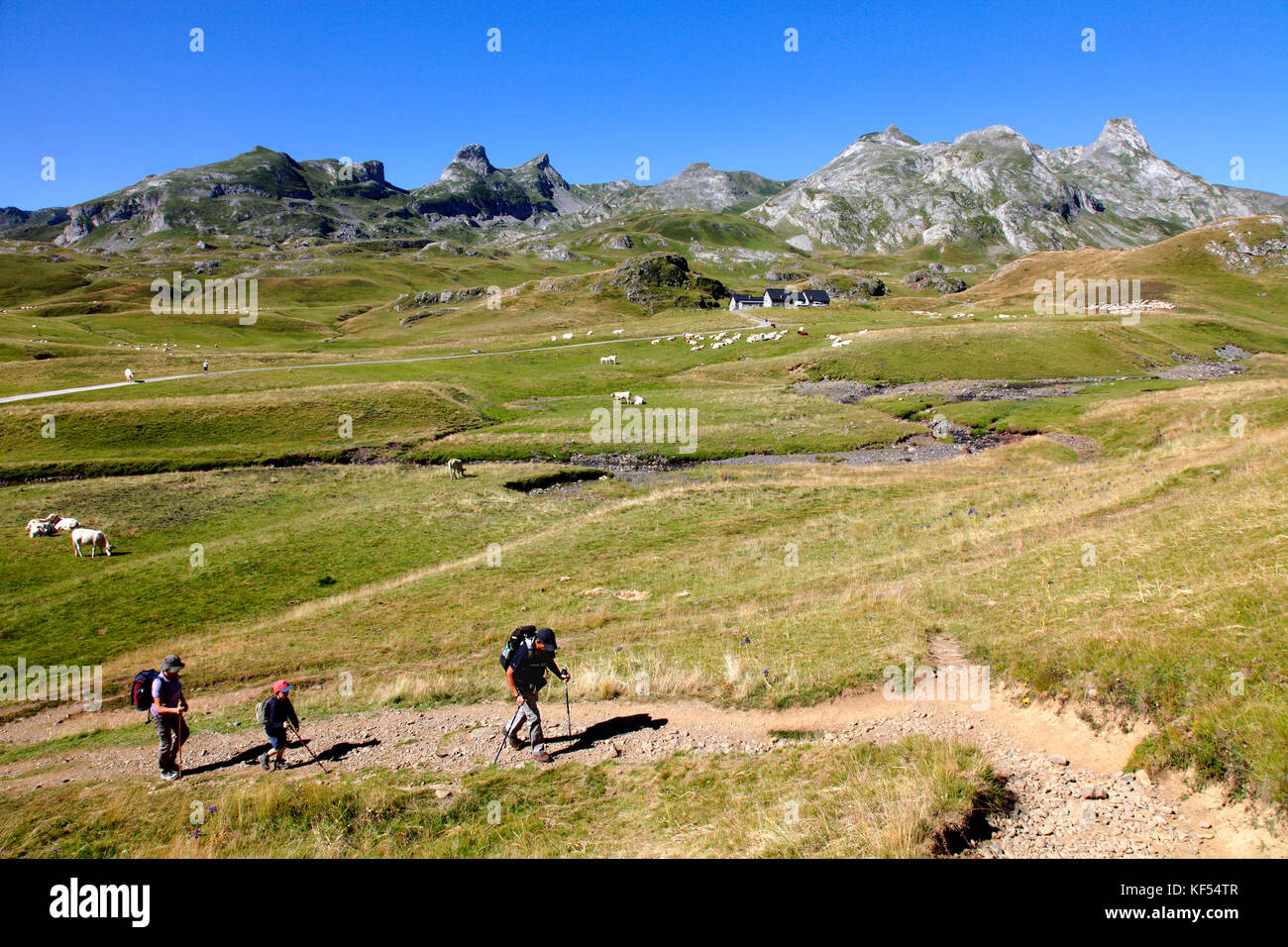 France, Nouvelle Aquitaine, Pyrenees atlantiques department (64), Bearn ...