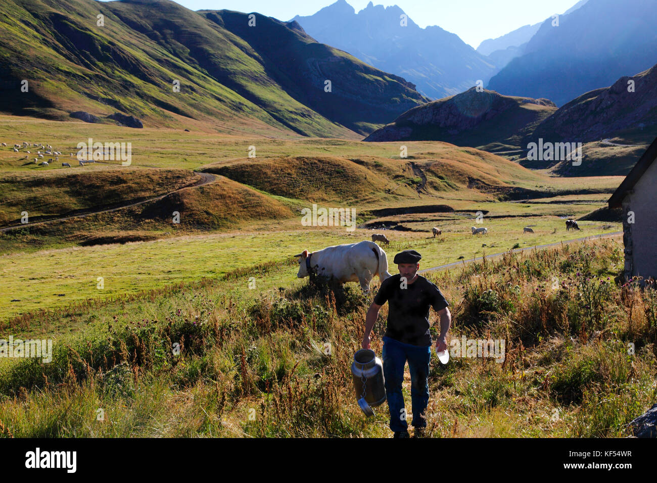 France, Nouvelle Aquitaine, Pyrenees atlantiques department (64), Bearn ...